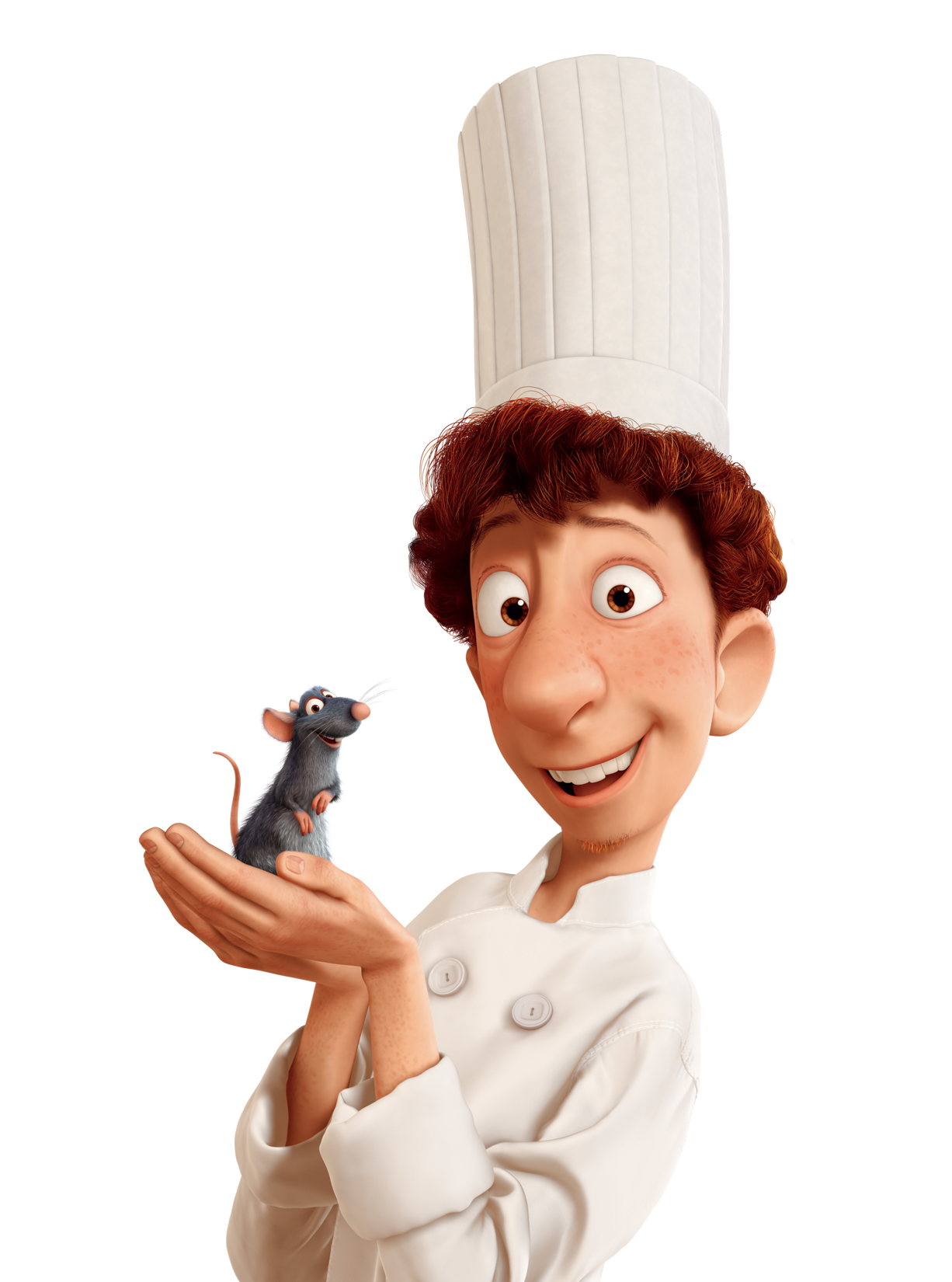 RATATOUILLE COOKS